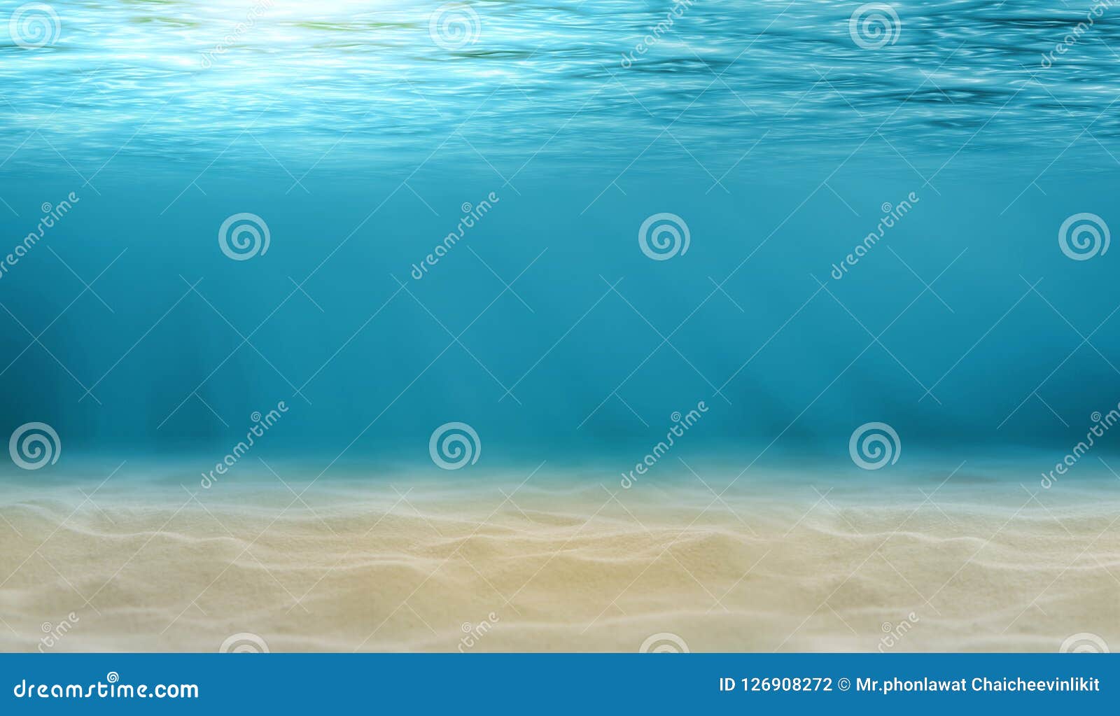 Underwater view of the sea stock photo. Image of nature - 126908272