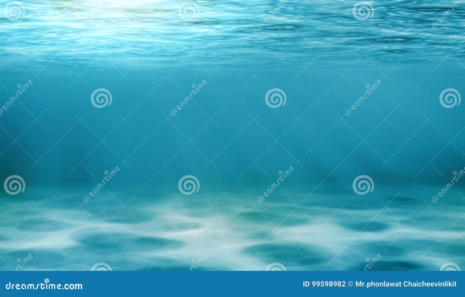 Underwater view of the sea stock photo. Image of bottom - 99598982