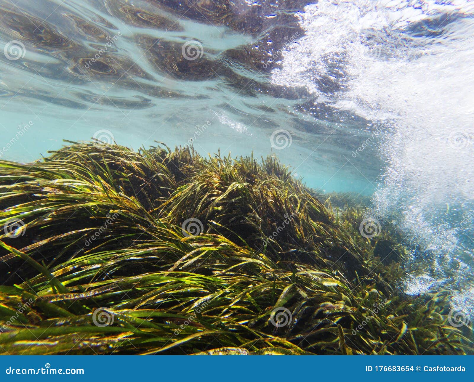 Underwater View with Some Rocks and Moss Stock Photo - Image of ...
