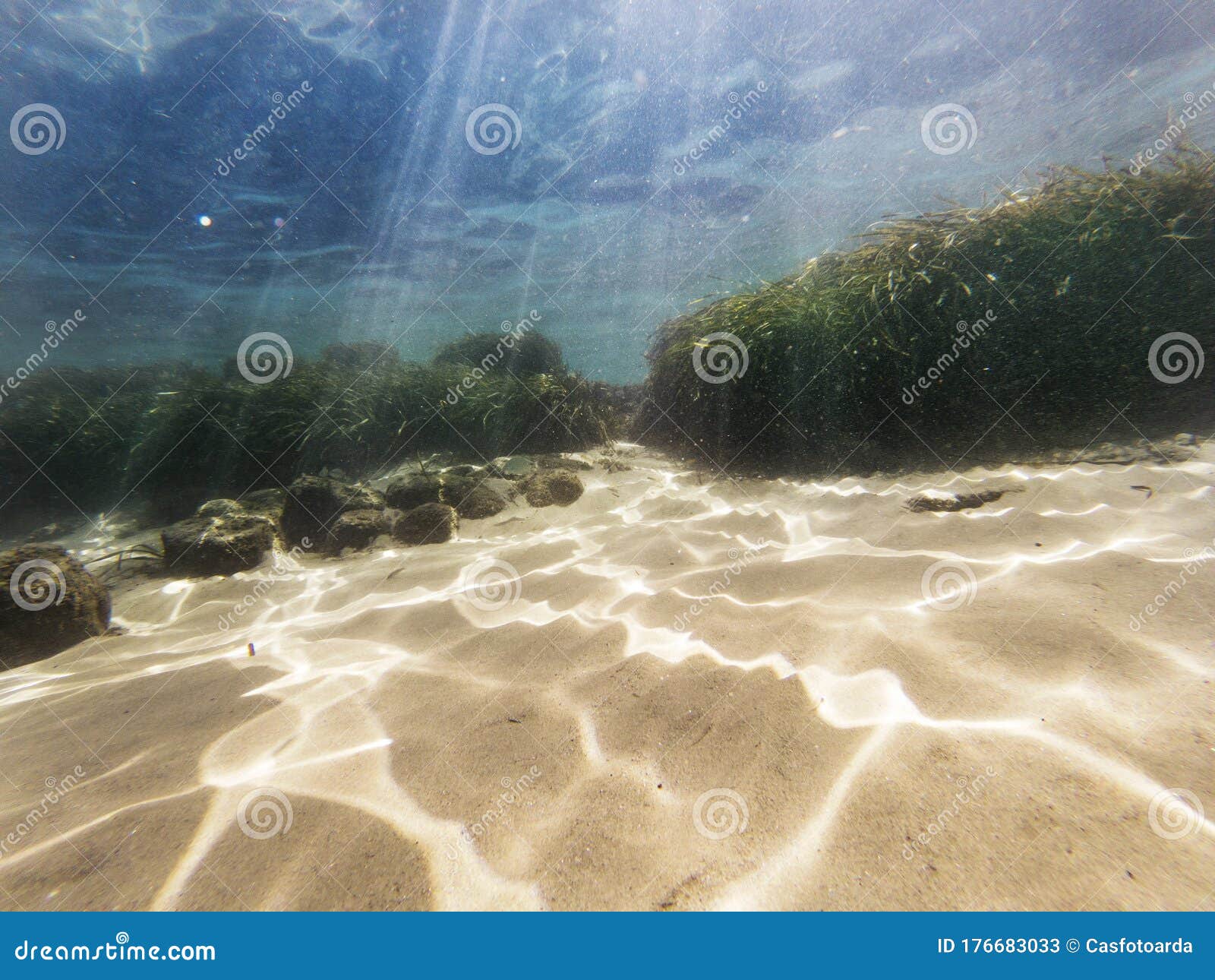 Underwater View with Some Rocks, Moss and Sand Stock Image - Image of ...