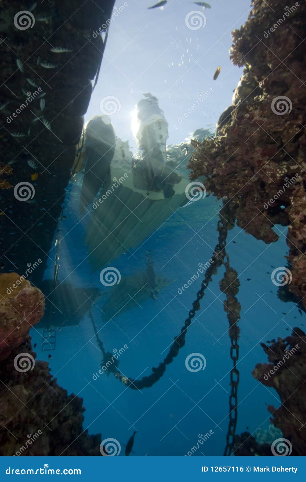Underwater View of a Speed Boat Stock Photo - Image of propeller, view ...