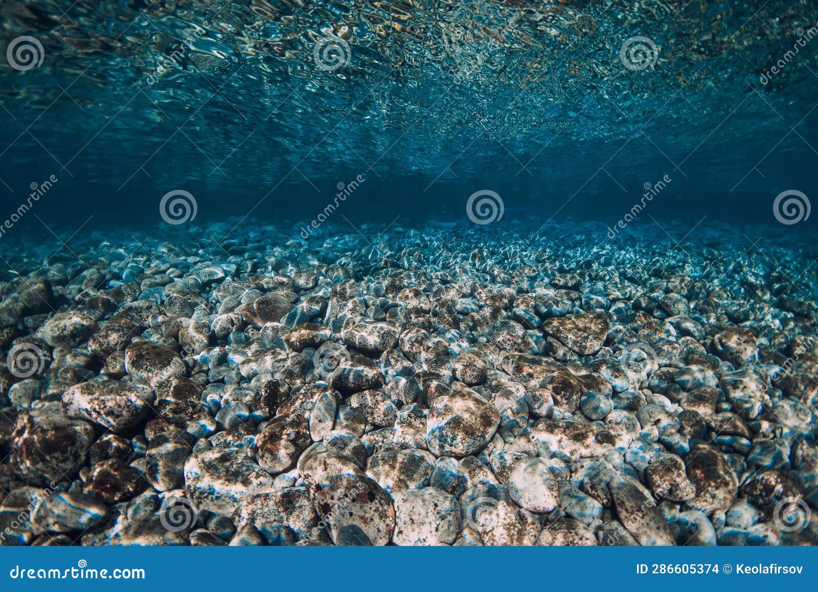 Underwater View with Stones Bottom and Reflection on Surface in Ocean ...