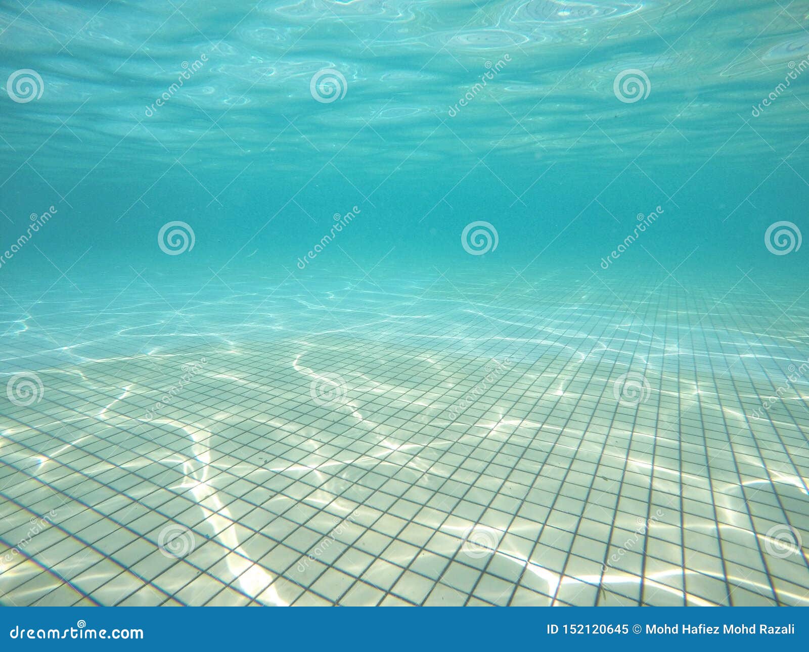 Underwater View of Swimming Pool Floor with Sunlight Reflections Stock ...