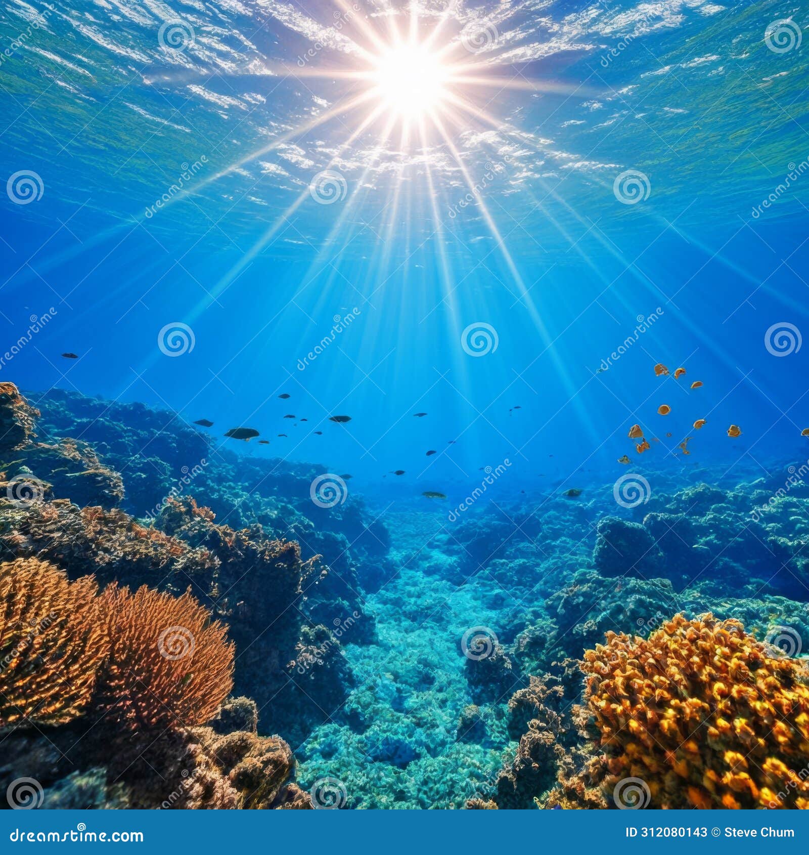 Underwater View of a Tropical Coral Reef with Fish and Sunlight. Stock ...