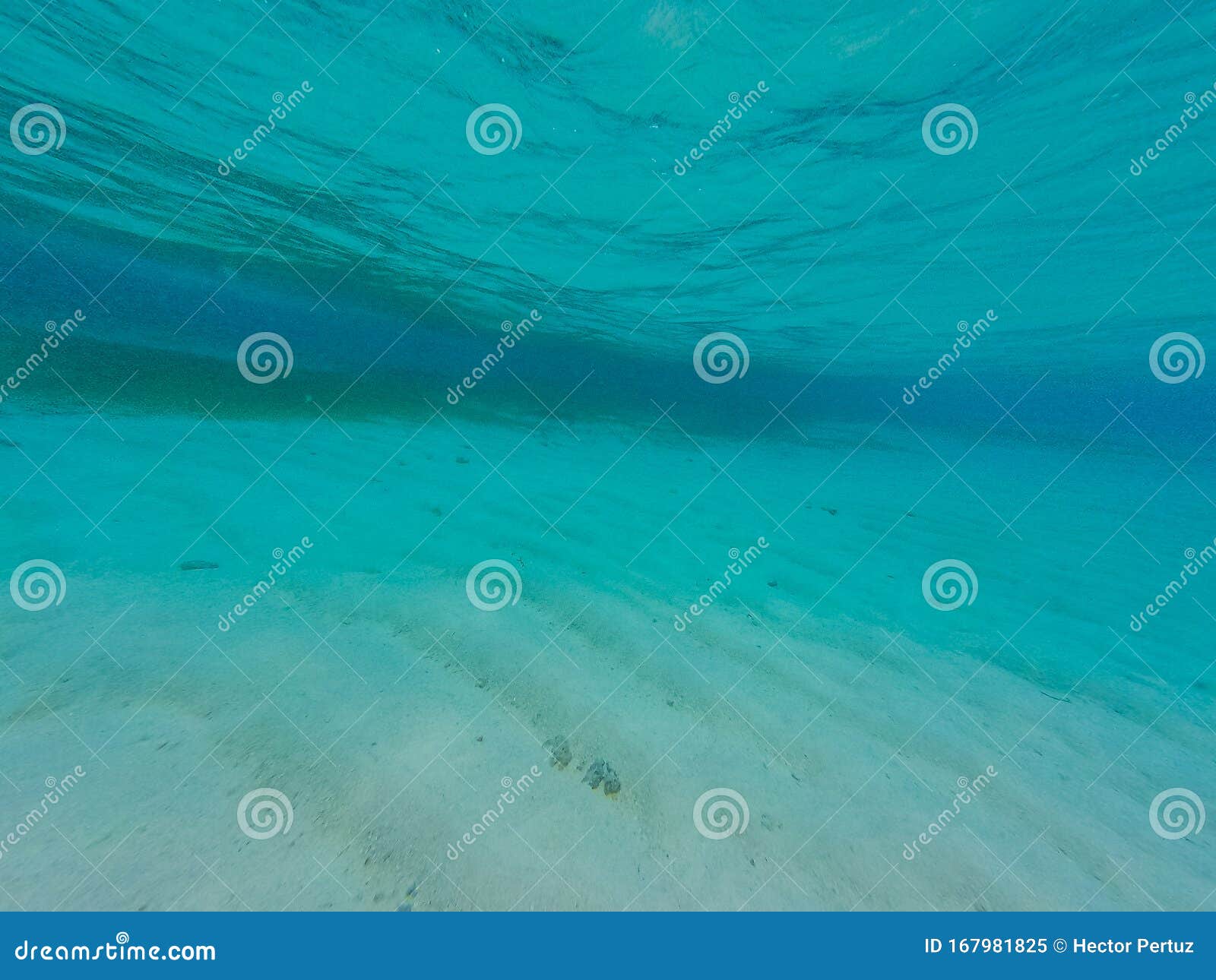 Underwater Views of the Sea Surface Stock Image - Image of coastline ...