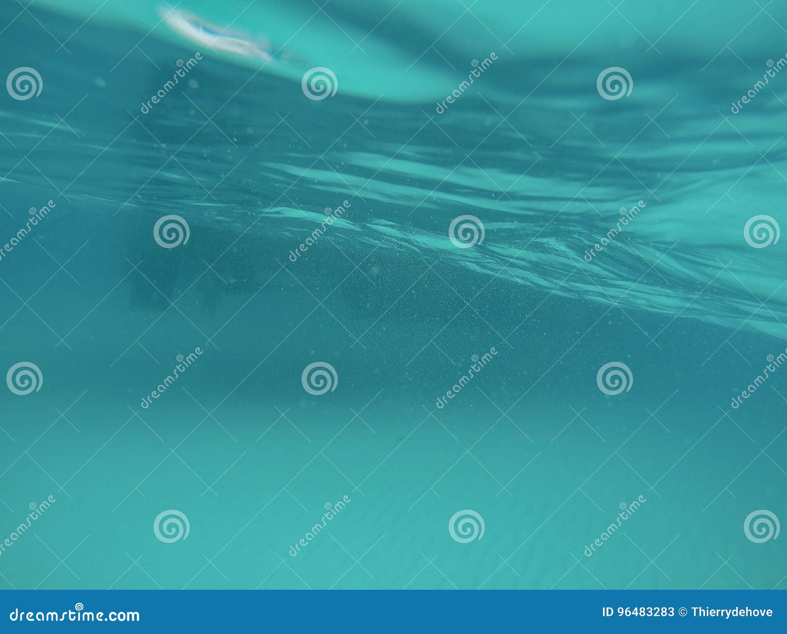 Underwater Von Sandy Toes, Bahamas Stockbild - Bild von unterwasser ...