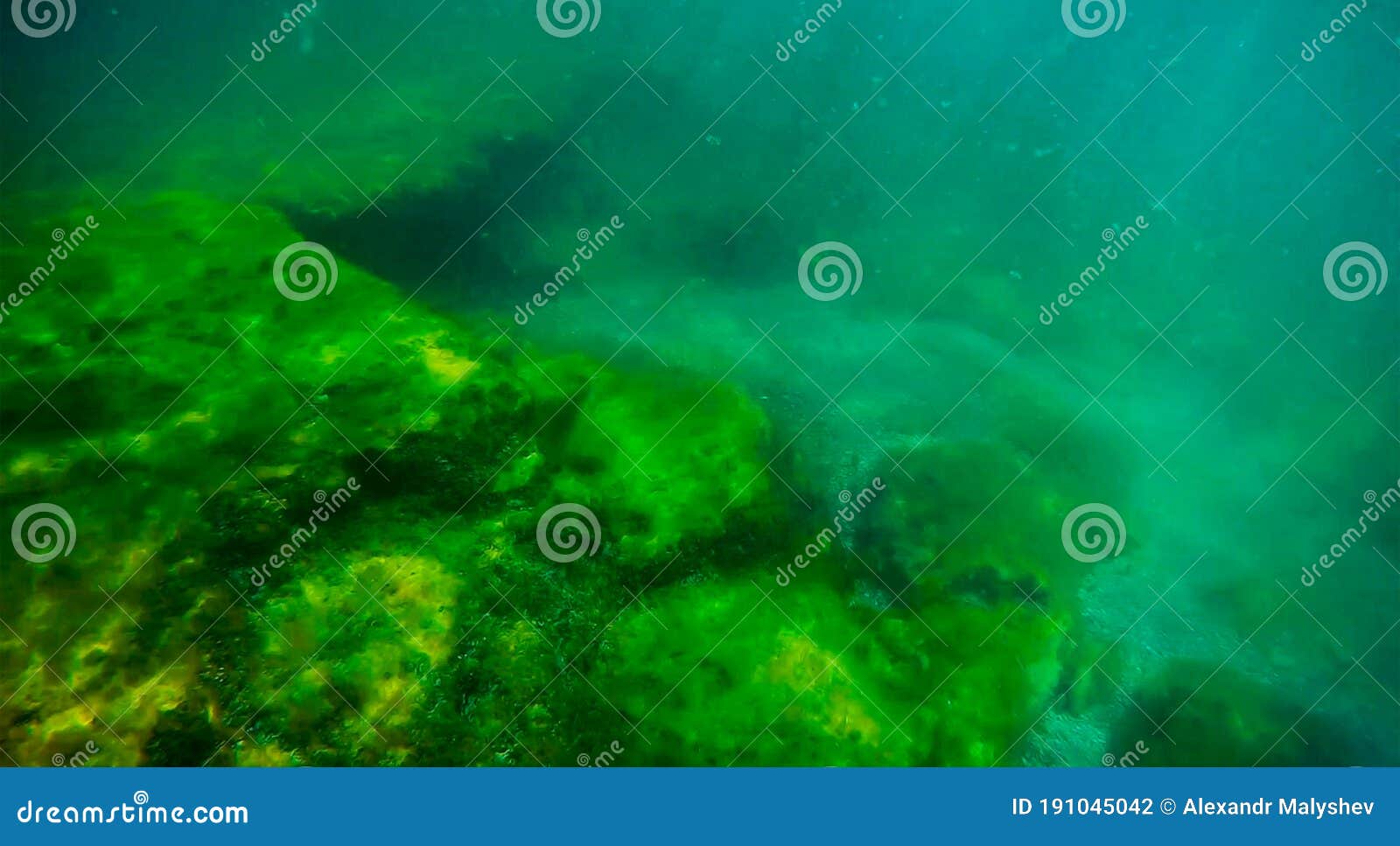 Underwater Walk into the Sea Stock Photo - Image of underwater, deep ...