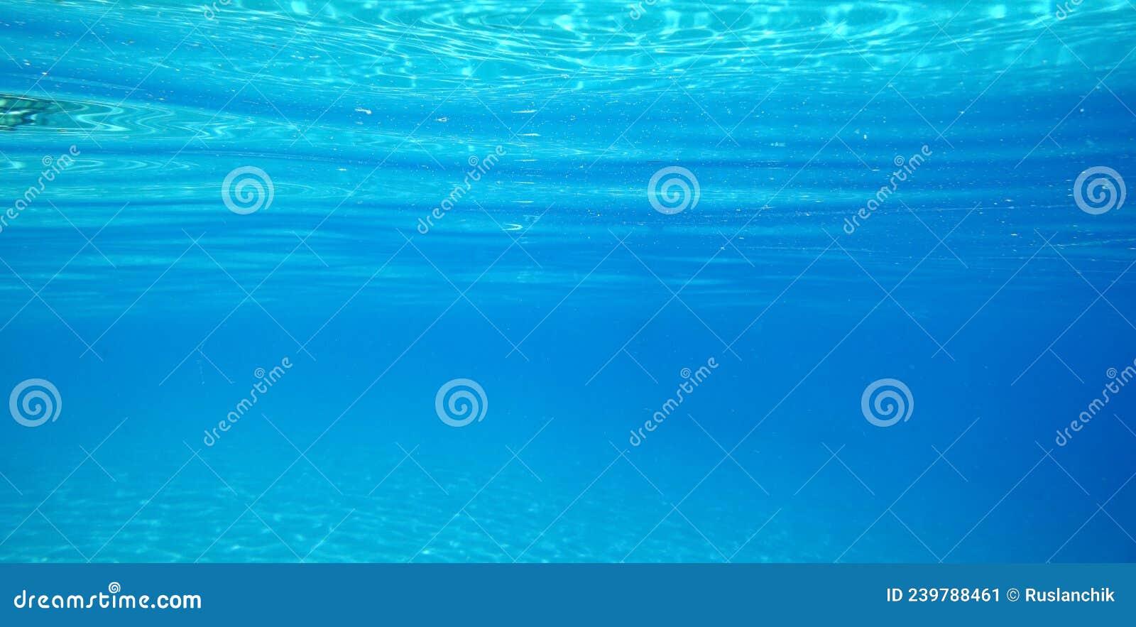 Underwater wave stock image. Image of marine, clear - 239788461
