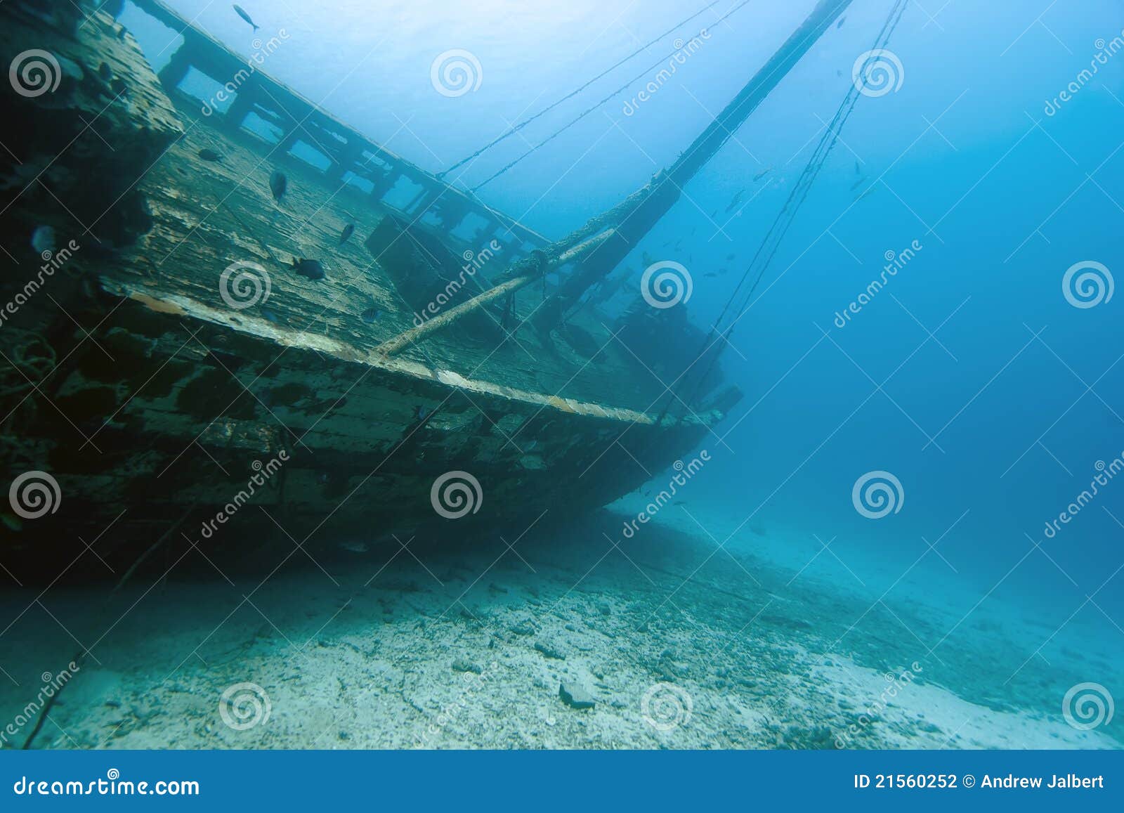Underwater Wooden Caribbean Shipwreck Stock Photo - Image of sunken ...