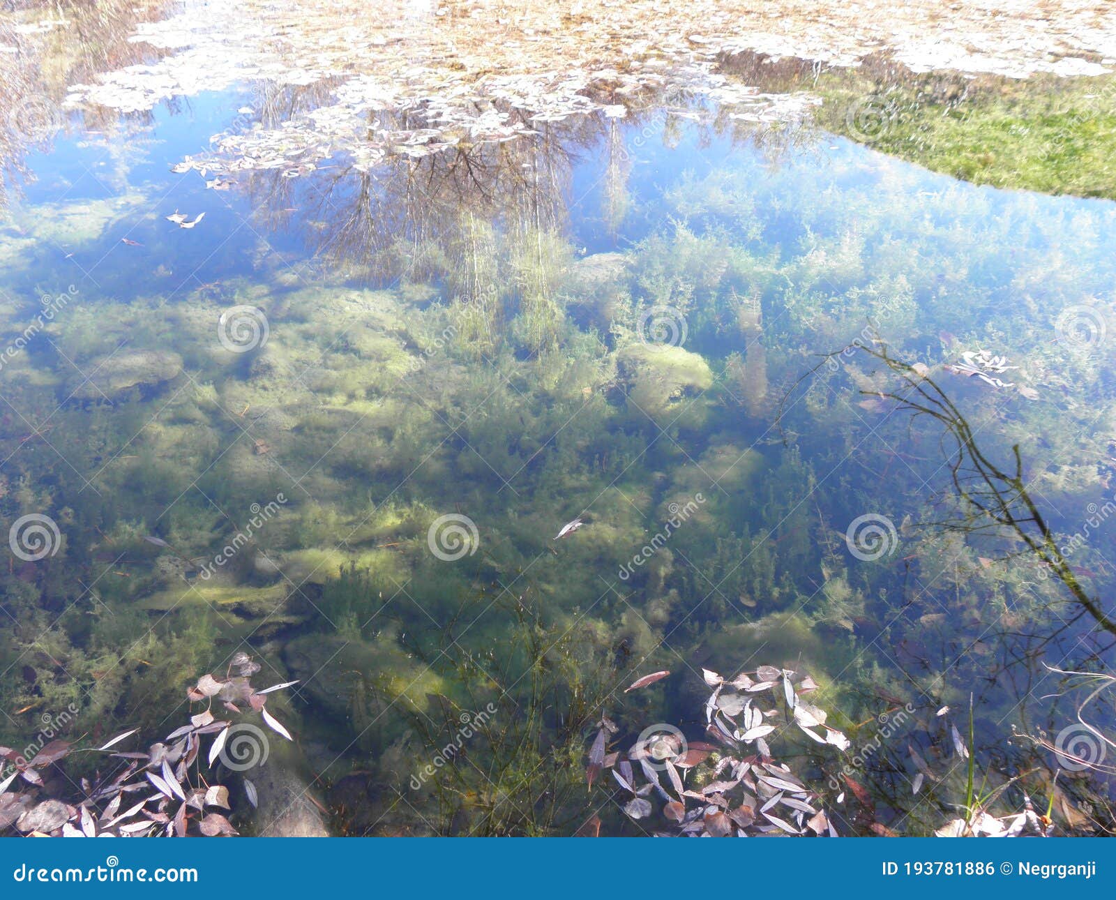 Underwater World and Beautiful Reflection of Light on a River Stock ...
