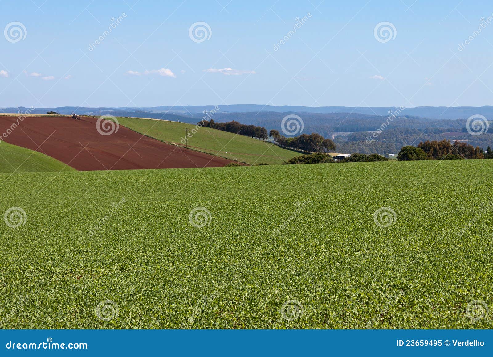 Undulating farm fields stock image. Image of work, grow - 23659495