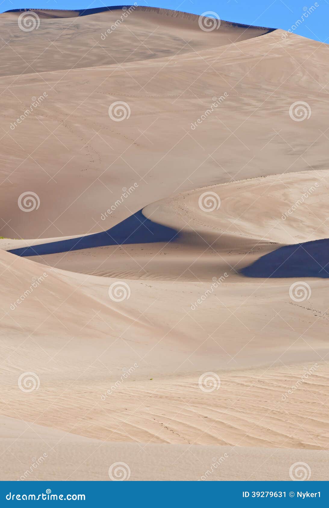 Undulating Sand Dunes and Shadows Stock Image - Image of colorado ...