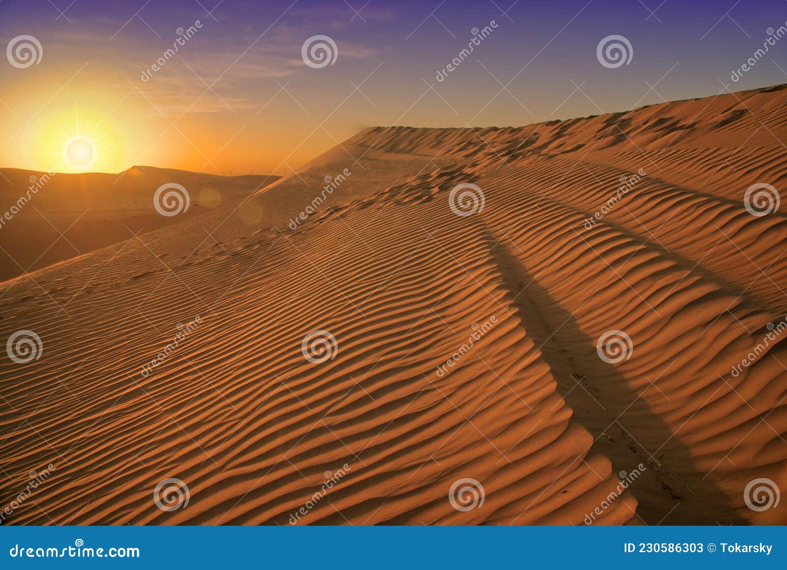 Undulating sand dunes. stock image. Image of hill, desert - 230586303