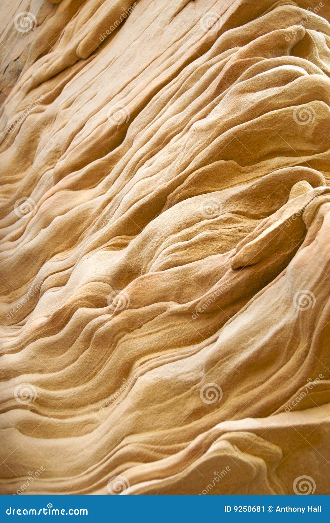 Undulating Sandstone Rock Layers Stock Image - Image of ripple, stone ...