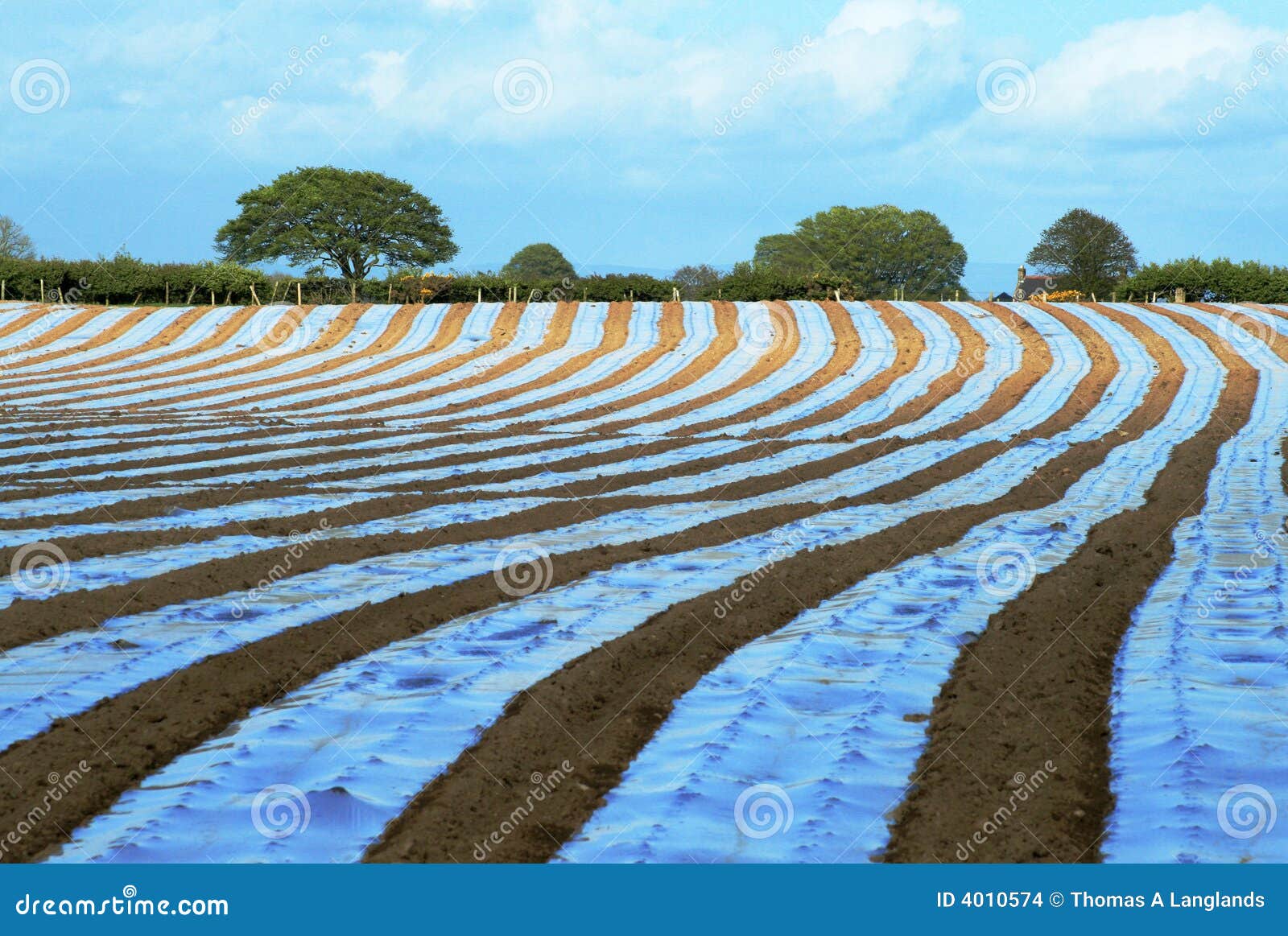 Undulating stripes stock photo. Image of enhancement, stripes - 4010574