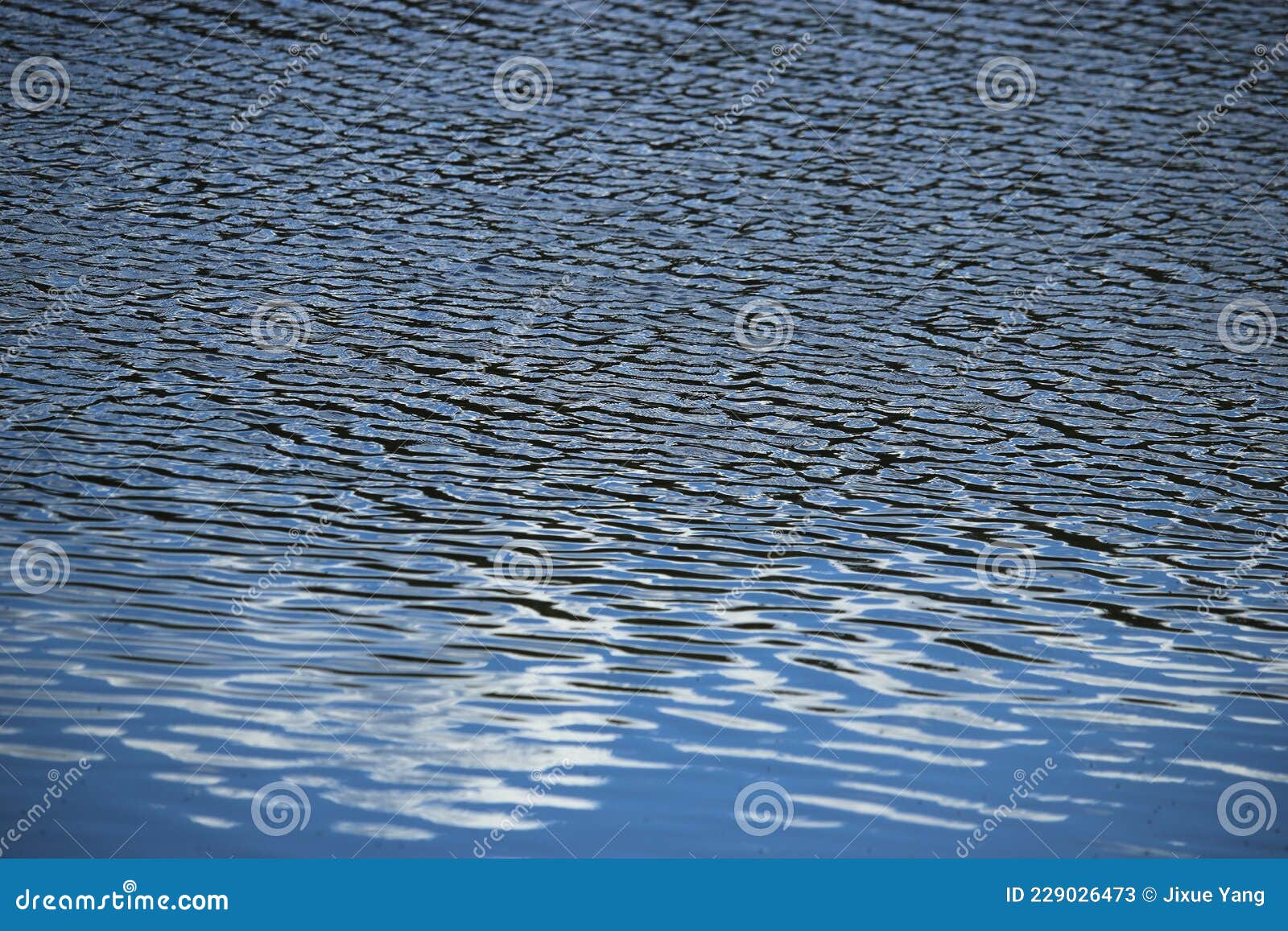 Undulating Waves of Pure Water Reflecting Light Patterns Stock Image ...