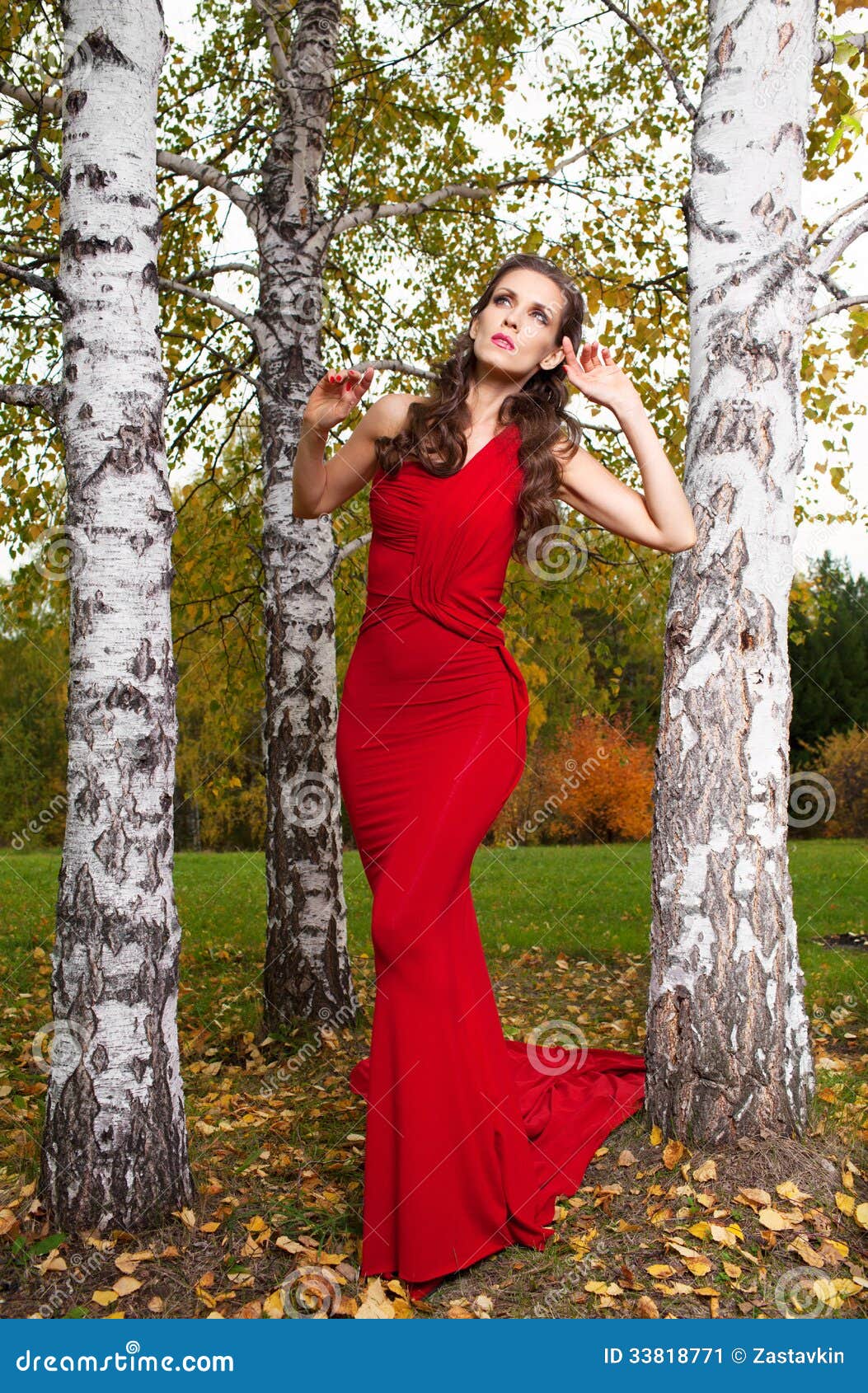 Une Belle Brune Dans La Robe Rouge Image stock - Image du femelle, tony ...