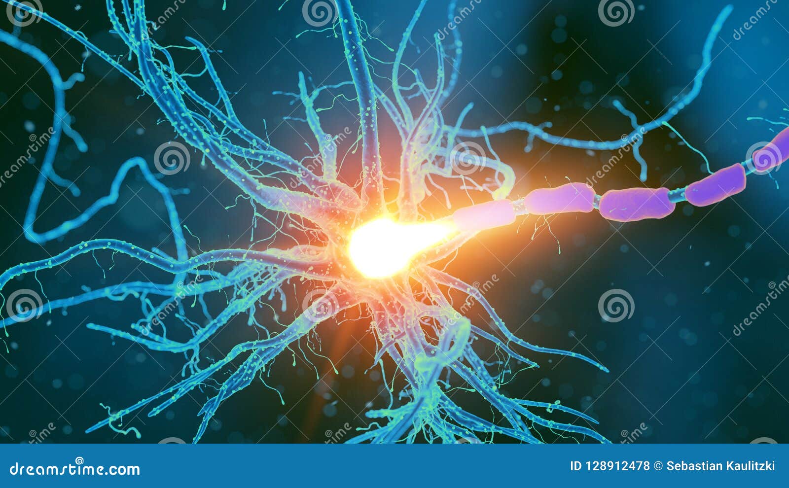 Une cellule nerveuse illustration stock. Illustration du nerveux ...