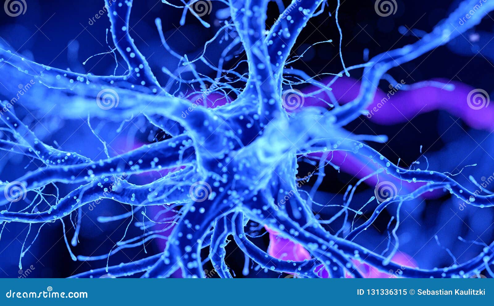 Une cellule nerveuse illustration stock. Illustration du micro - 131336315