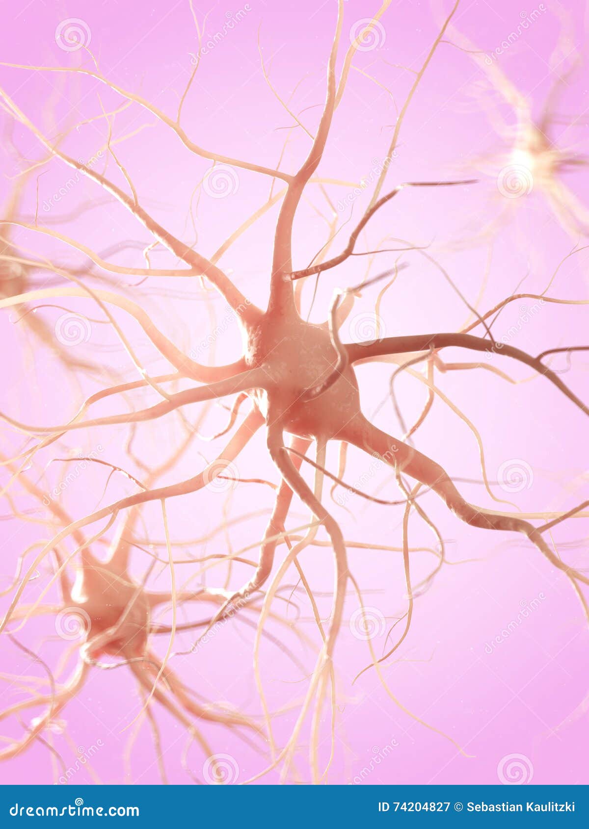 Une cellule nerveuse illustration stock. Illustration du noyau - 74204827