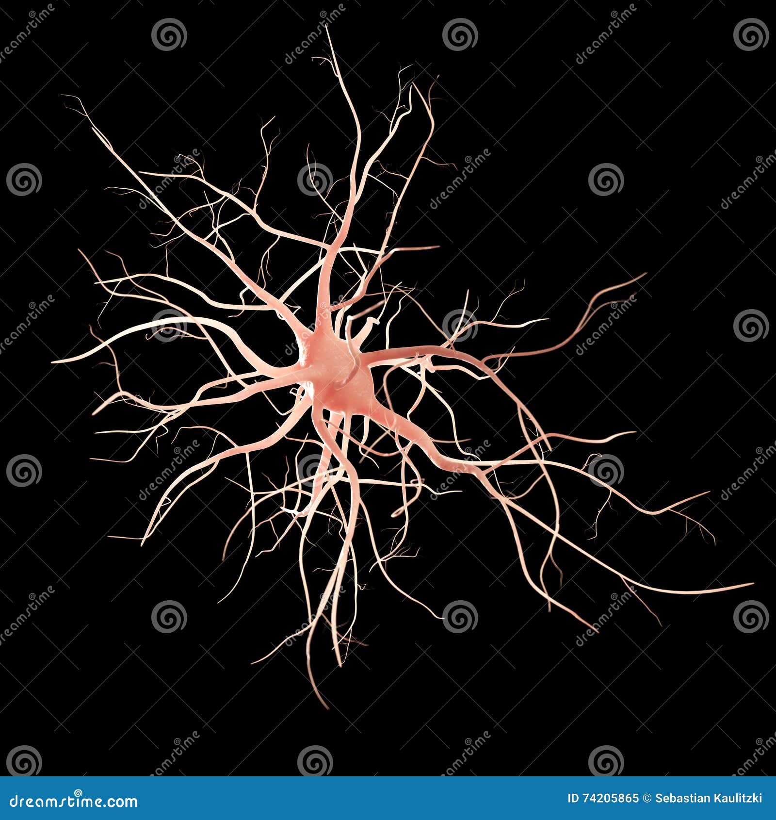Une cellule nerveuse illustration stock. Illustration du esprit - 74205865