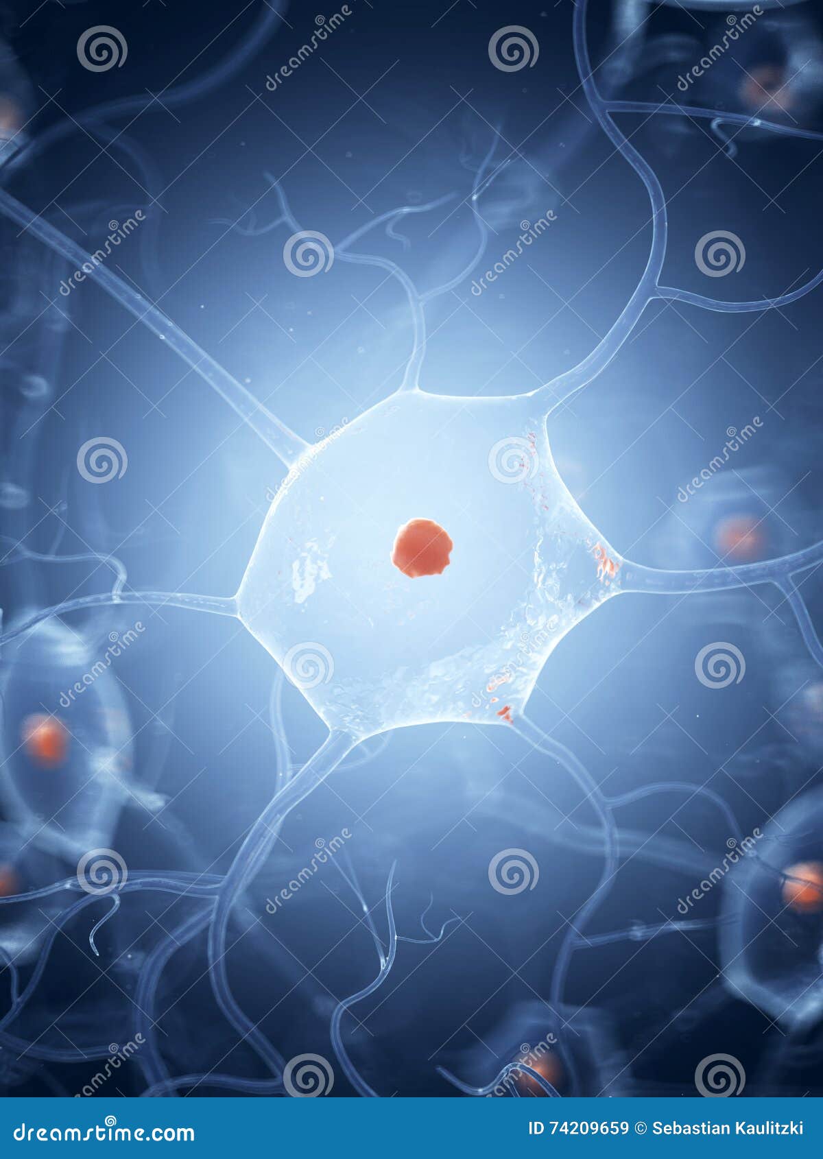 Une cellule nerveuse illustration stock. Illustration du nerf - 74209659