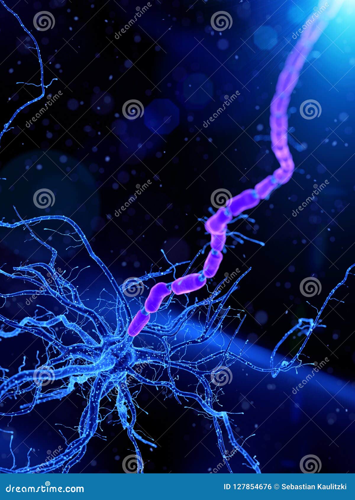 Une Cellule Nerveuse Humaine Illustration Stock - Illustration du ...