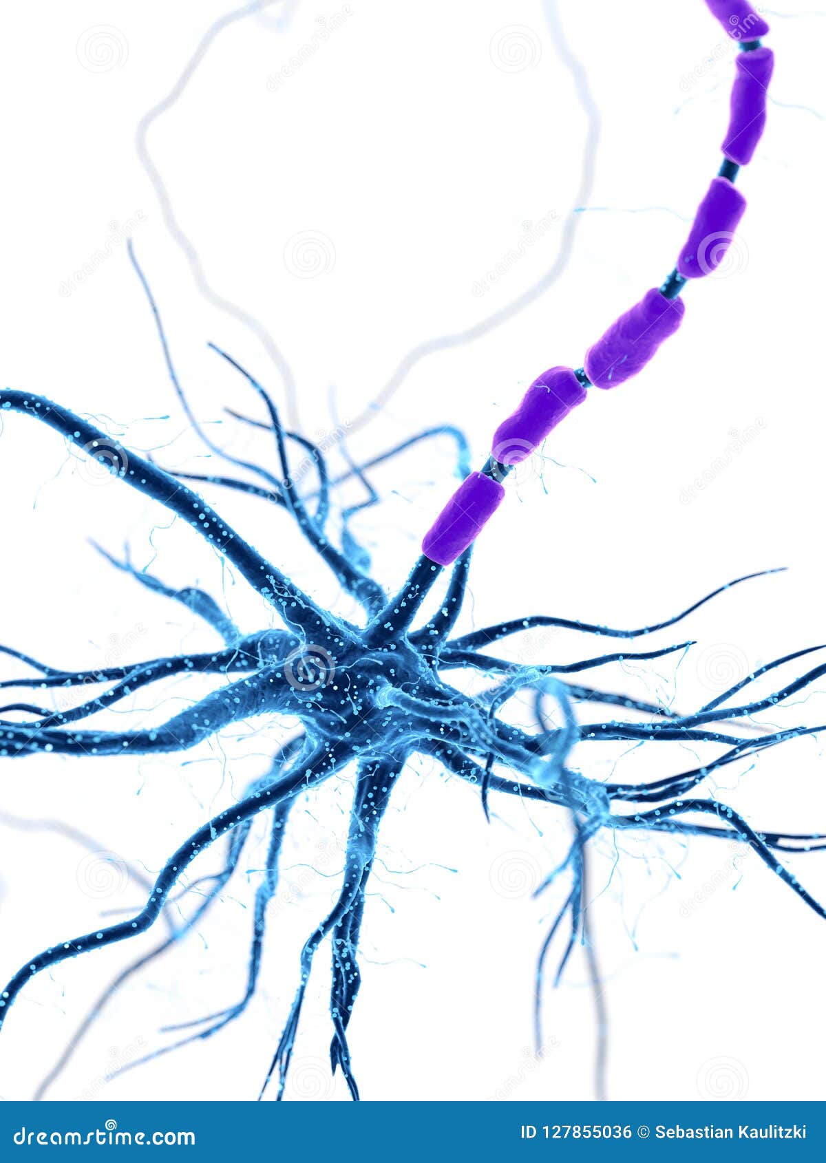 Une Cellule Nerveuse Humaine Illustration Stock - Illustration du ...