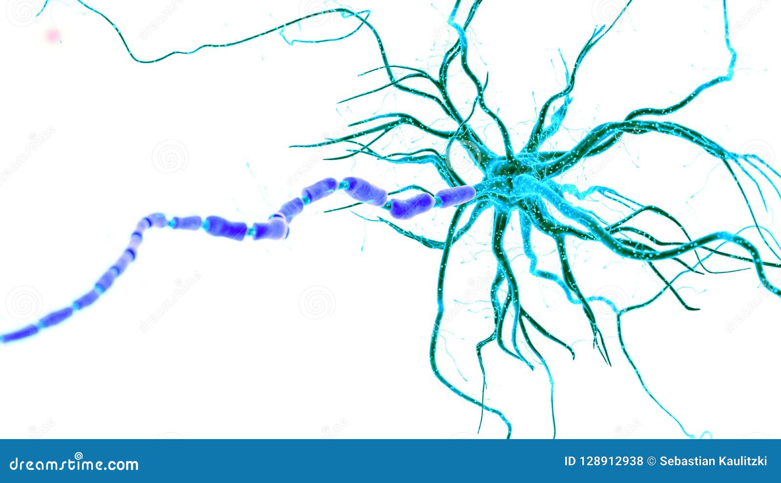 Une Cellule Nerveuse Humaine Illustration Stock - Illustration du ...