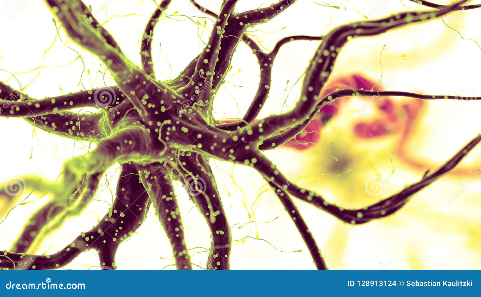 Une Cellule Nerveuse Humaine Illustration Stock - Illustration du ...