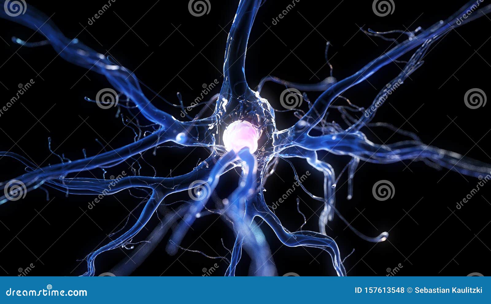 Une Cellule Nerveuse Humaine Illustration Stock - Illustration du ...