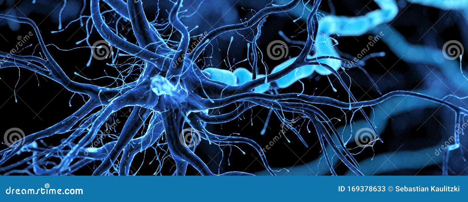 Une Cellule Nerveuse Humaine Illustration Stock - Illustration du ...