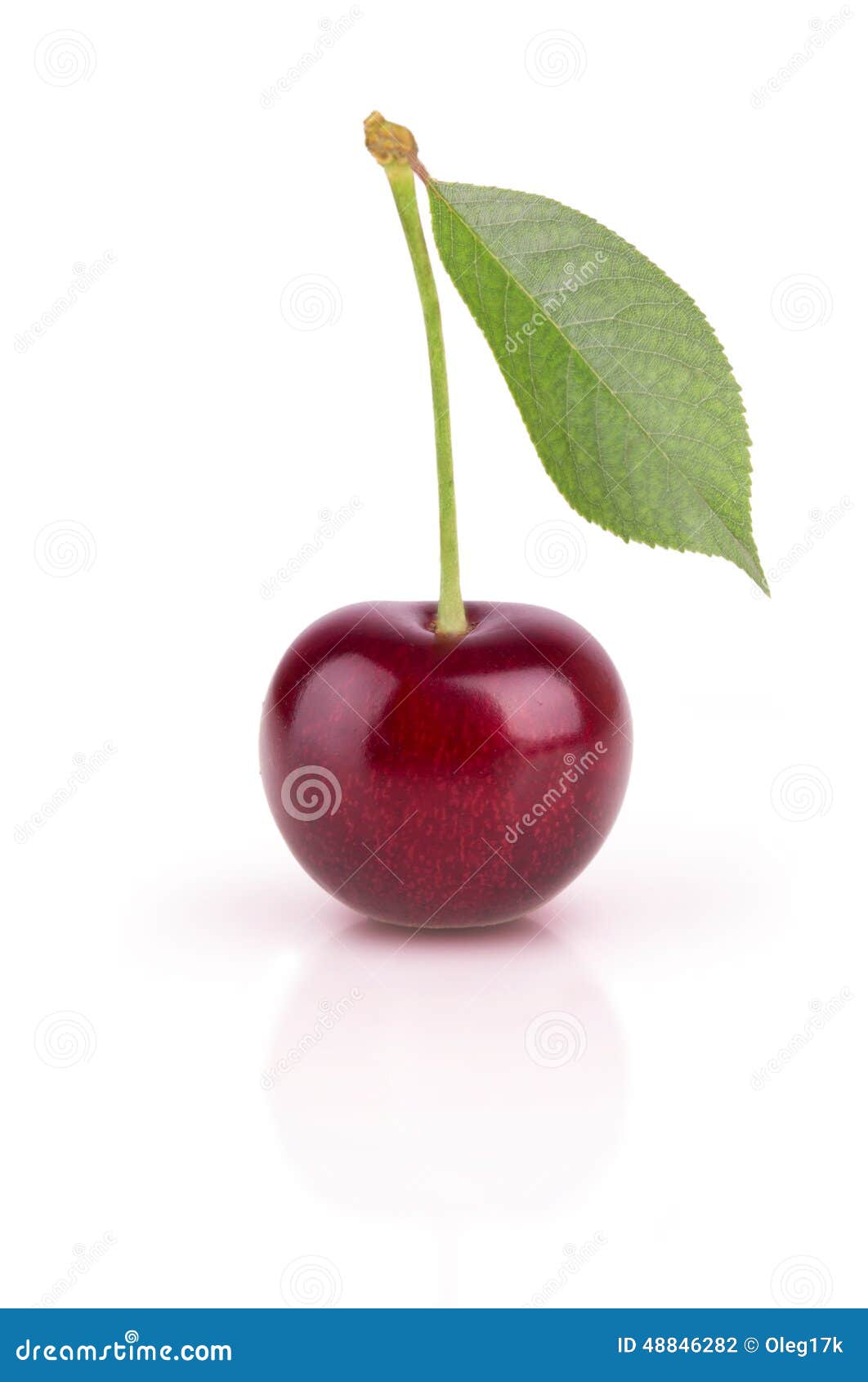 Une cerise mûre photo stock. Image du été, sain, savoureux - 48846282