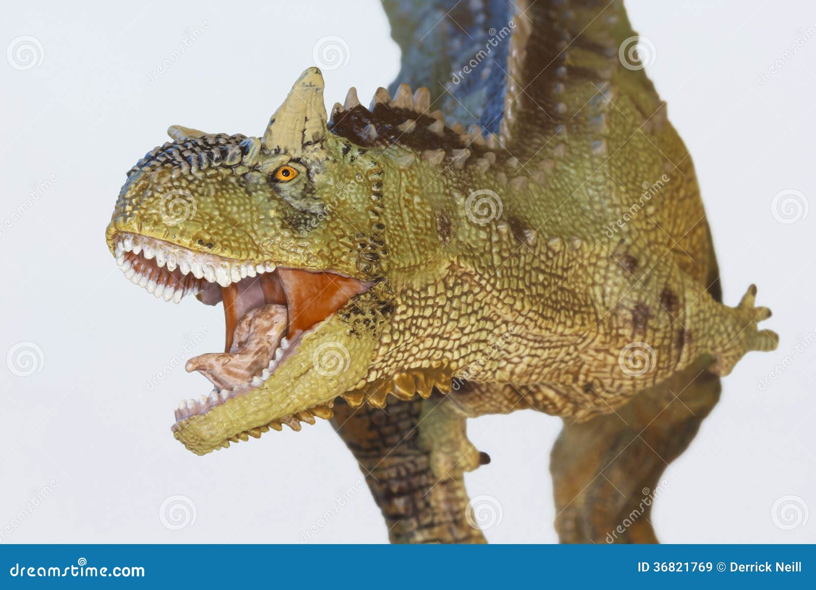 Une Chair Mangeant Le Dinosaure De Carnotaurus, Taureau Carnivore Image ...
