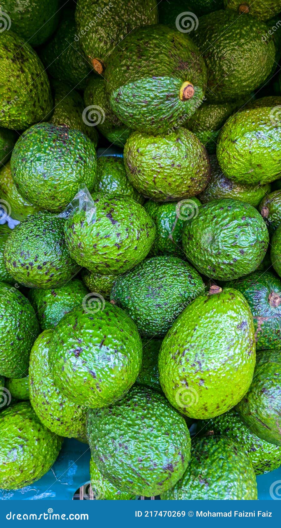 Une Image D'avocat De Couleur Verte Image stock - Image du choix ...