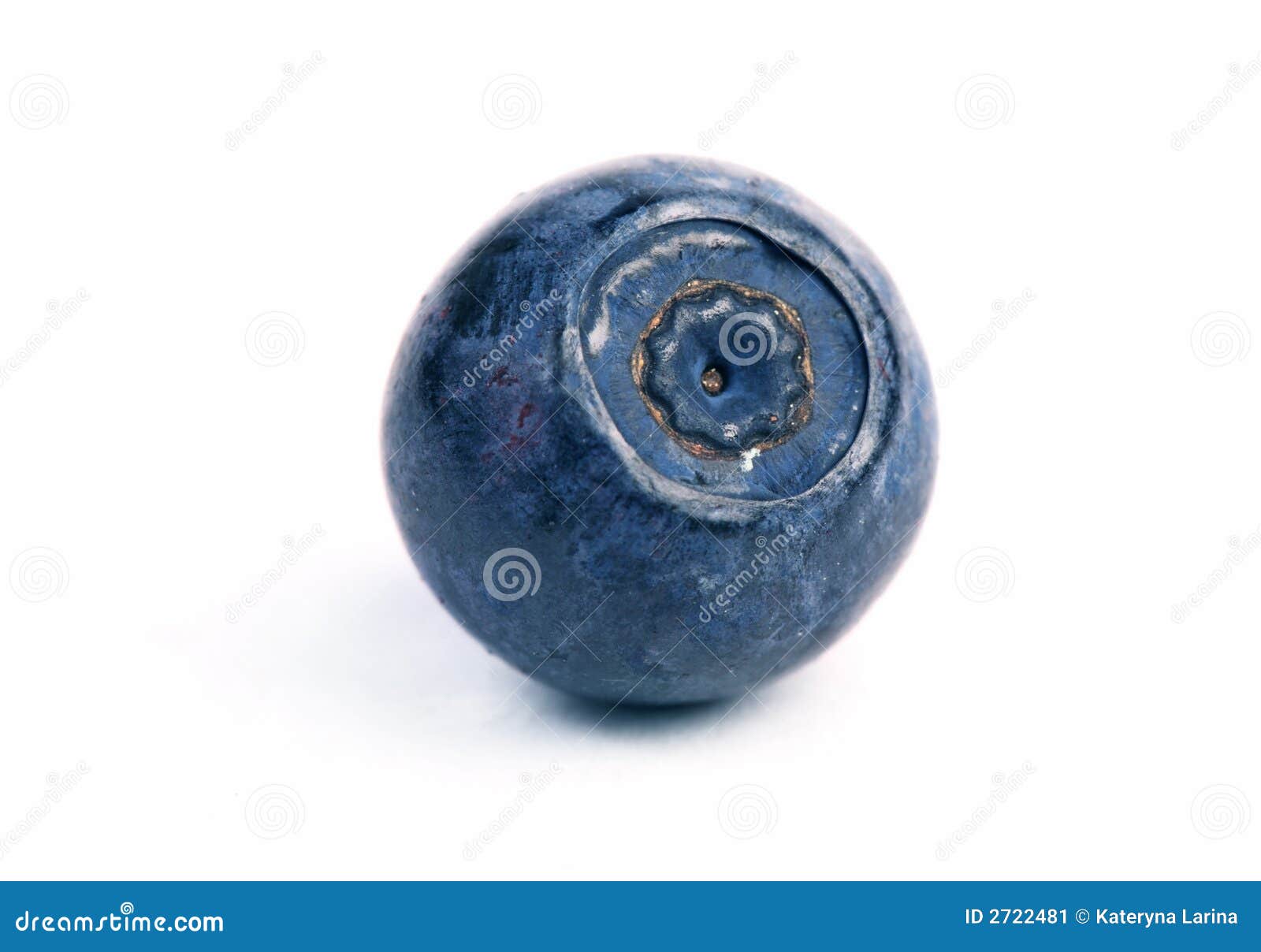 Une myrtille image stock. Image du forêt, savoureux, manger - 2722481