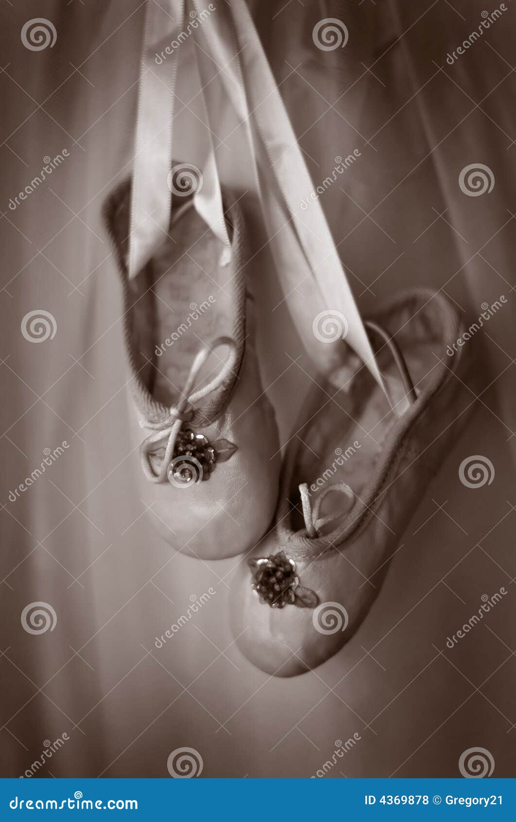 Une Paire De Chaussons De Ballet Photo stock - Image du danses, brun ...