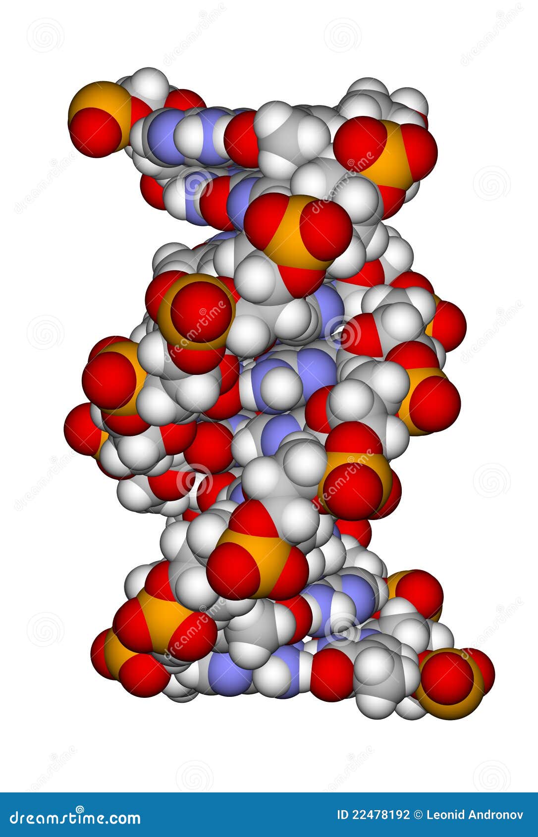 Une Partie D'une Double Helice D'ADN Illustration Stock - Illustration ...