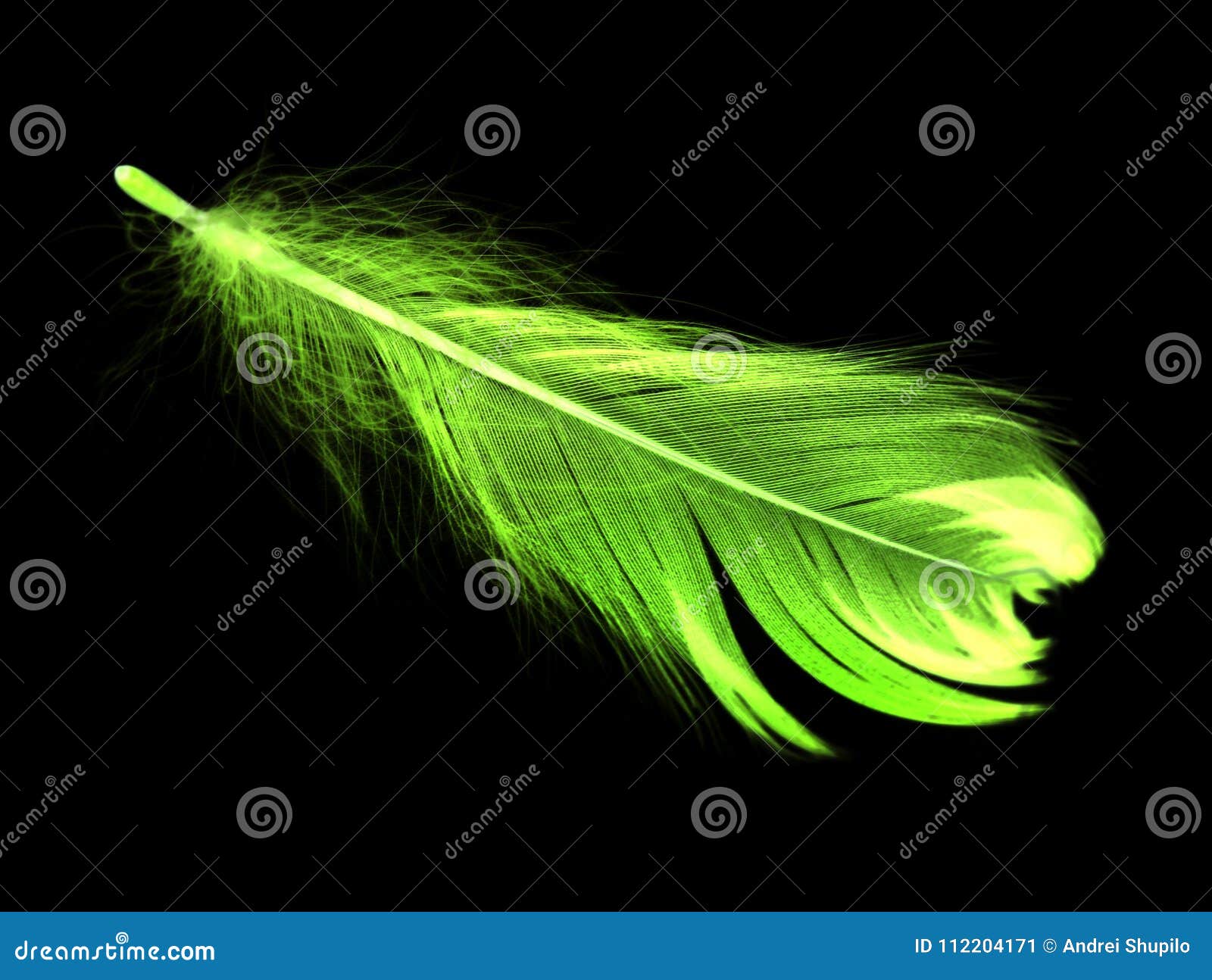 Une Plume Verte Sur Un Fond Noir Image stock - Image du lumière, forme ...