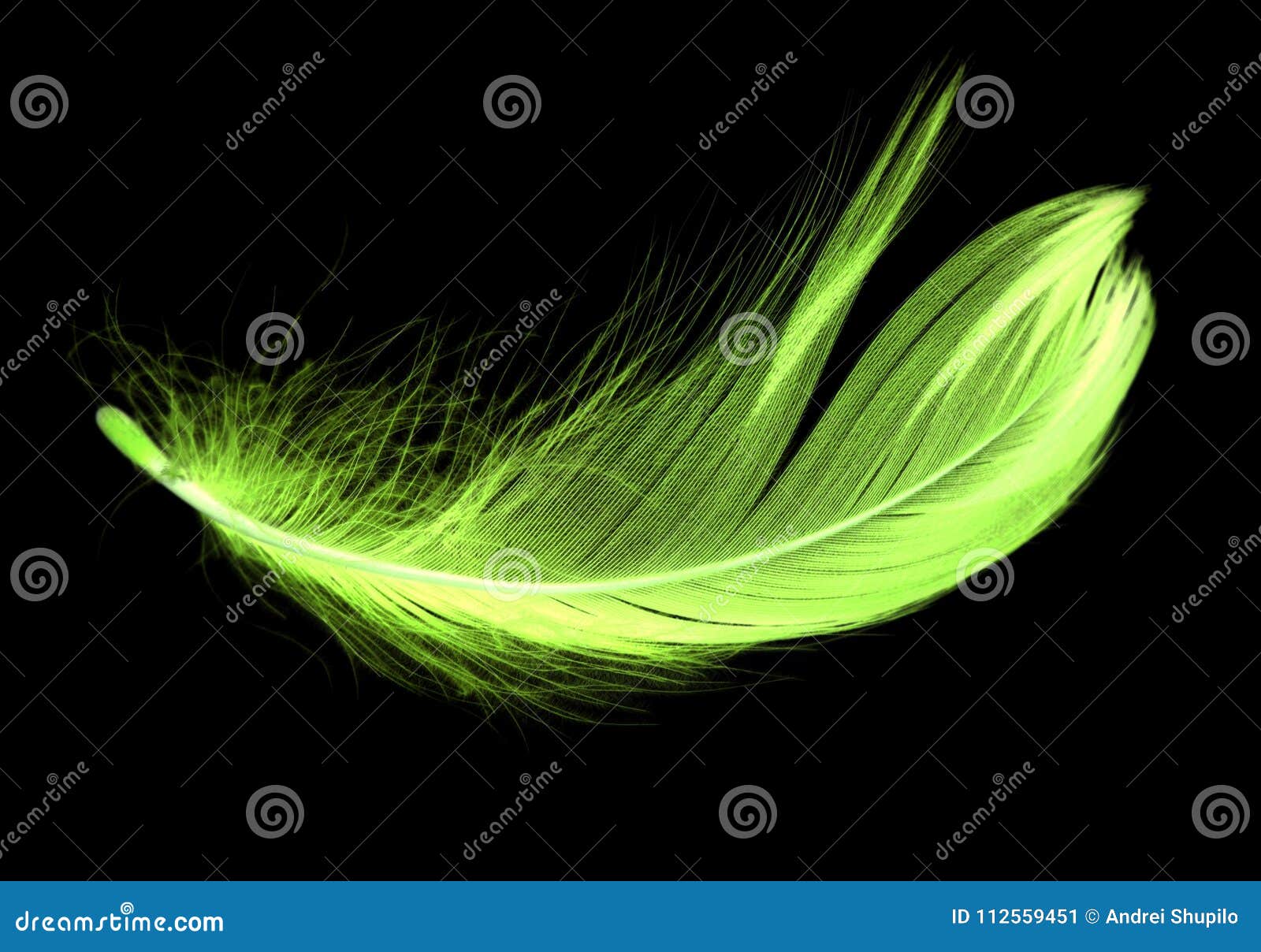 Une Plume Verte Sur Un Fond Noir Image stock - Image du fond, vert ...