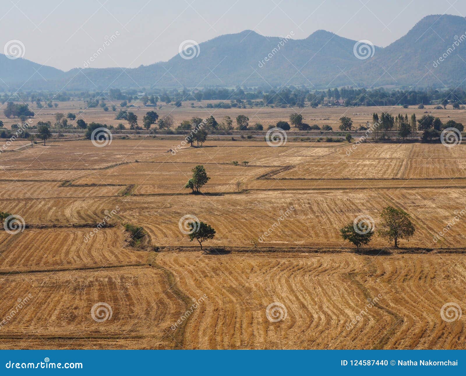 Une Vue De Champ Agricole, Paysage Photo stock - Image du extérieur ...