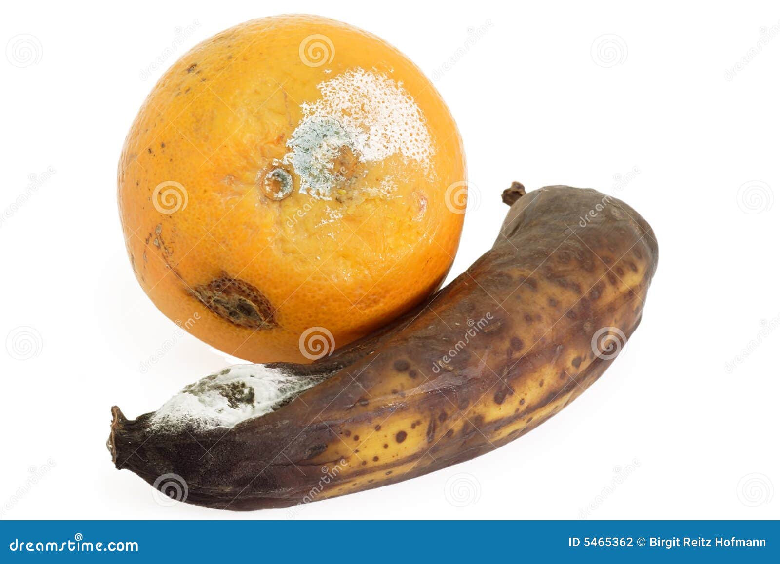 Uneatable stock photo. Image of fungal, kitchen, fruit - 5465362