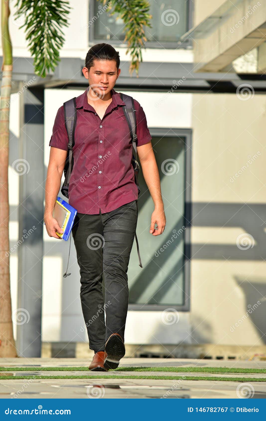 Unemotional University Boy Student Walking on Campus Stock Image ...