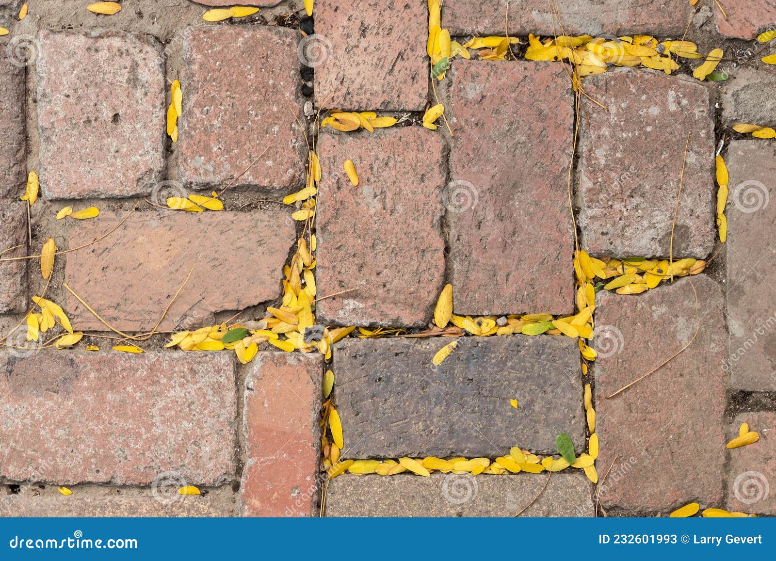 Uneven Brick Sidewalk Pattern Stock Image - Image of craftsmanship ...