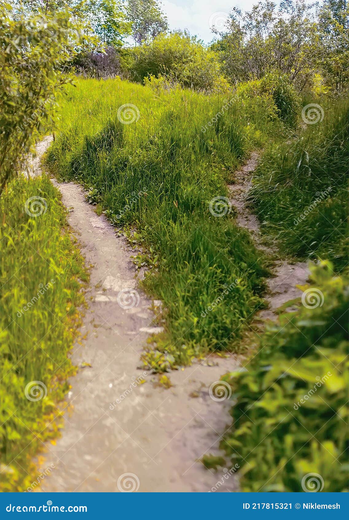 An Uneven Footpath among the Grass Divides into Two Narrow Paths that ...