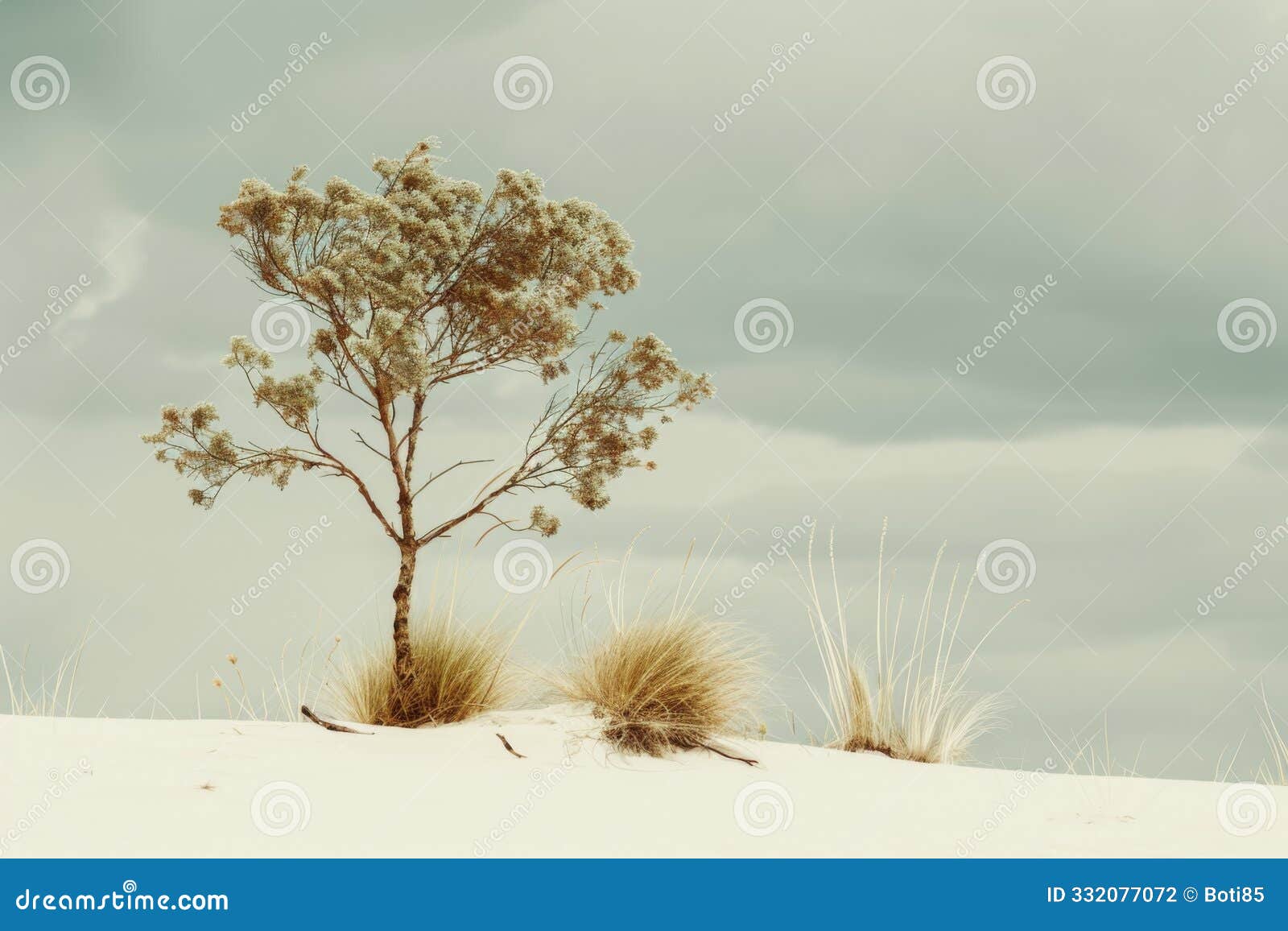 Unexpected Consequences The Effects Of Manmade Climate Change And ...