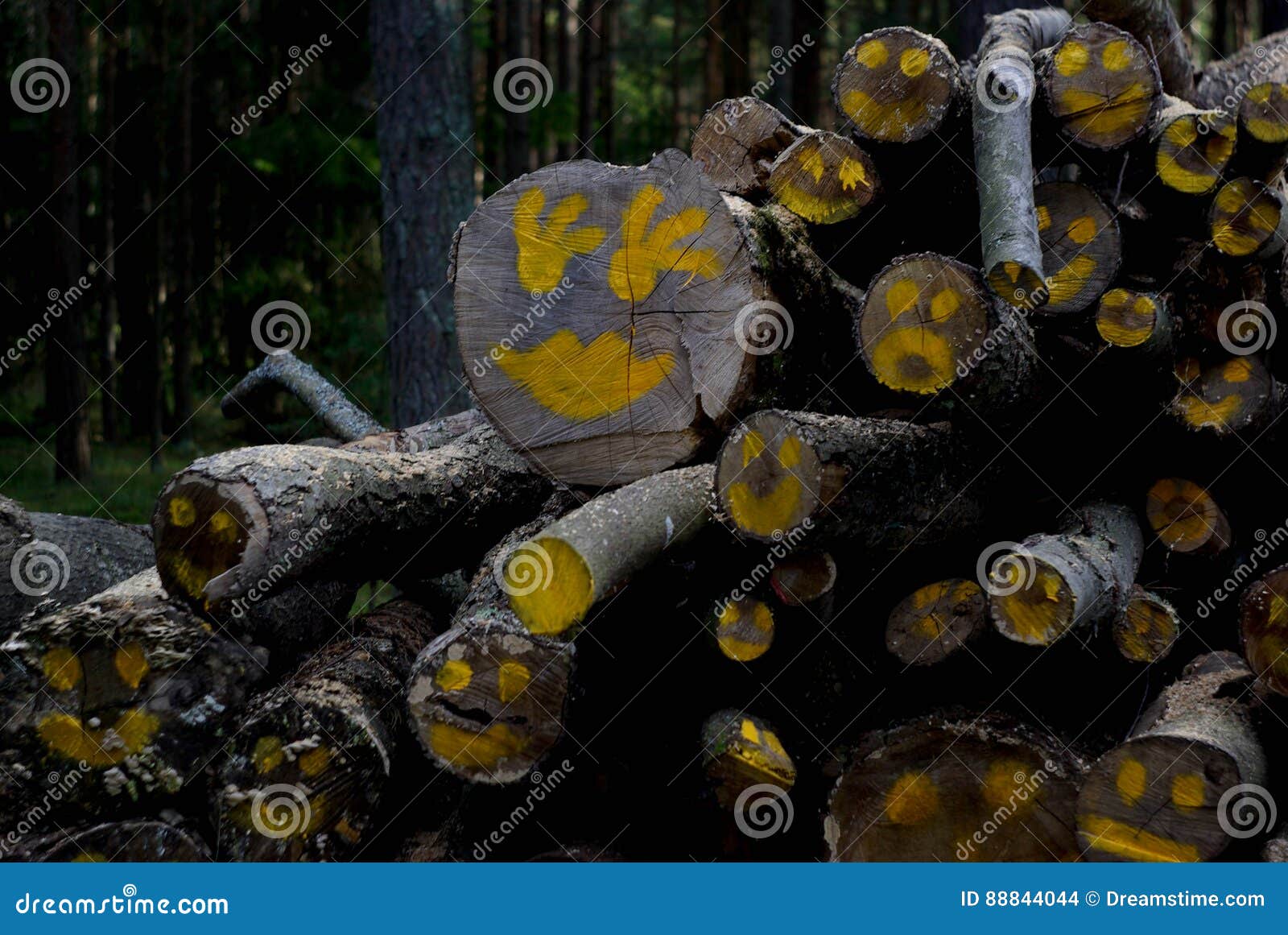 Unexpected Faces of Logs Part Two Stock Photo - Image of femine, comedy ...