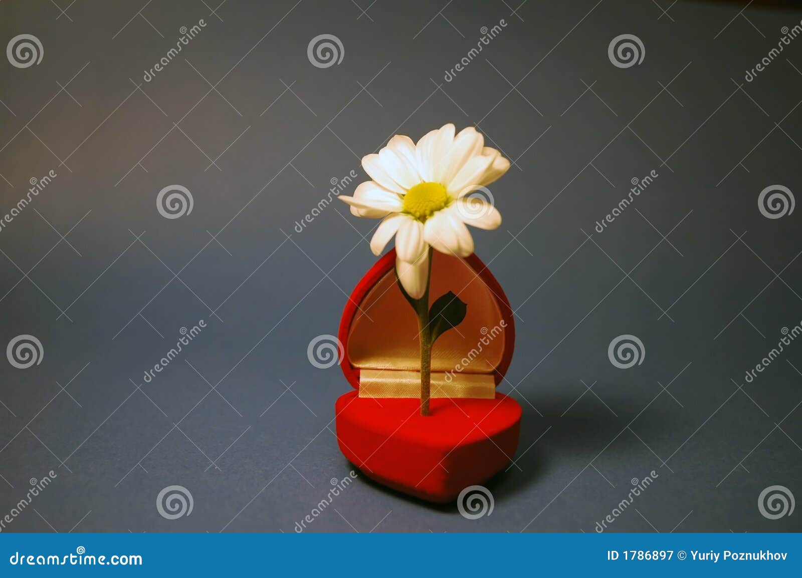 Unexpected gift stock image. Image of love, celebration - 1786897