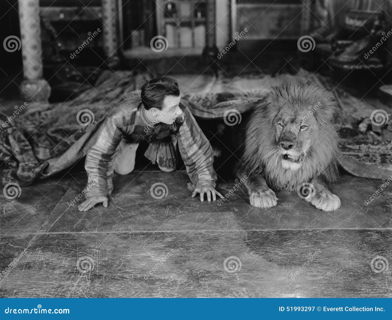 UNEXPECTED GUEST stock image. Image of astounding, cranky - 51993297