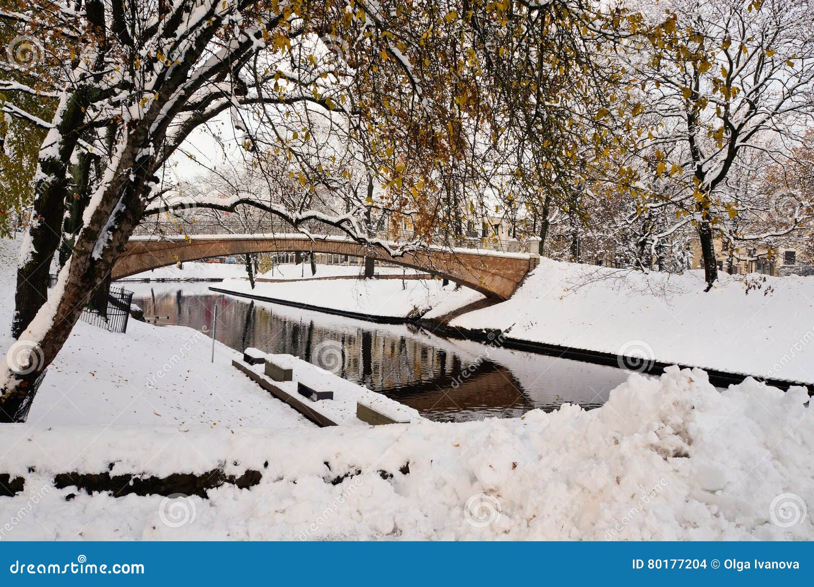 Unexpected Snow in November Stock Photo - Image of fresh, tree: 80177204